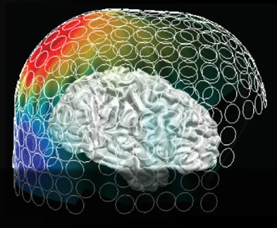 HCP Releases Initial MEG Dataset - Connectome